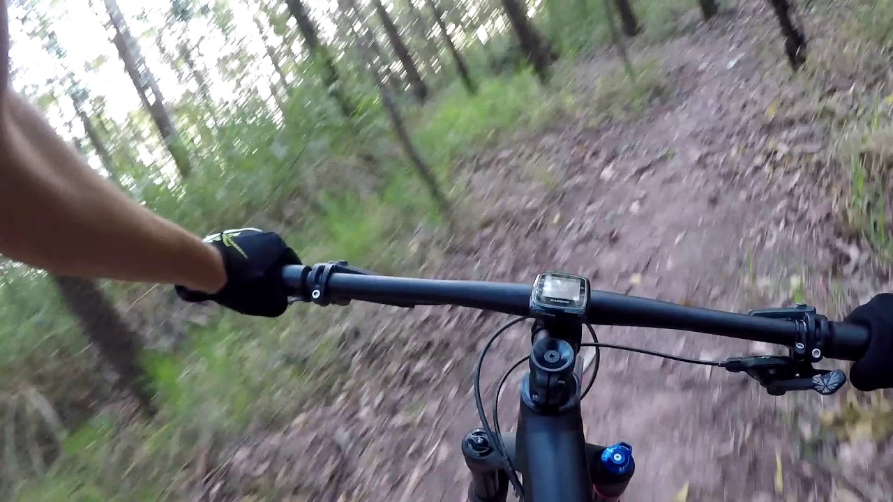 SINGLE TRACK CRAZY DOG - YouTube
