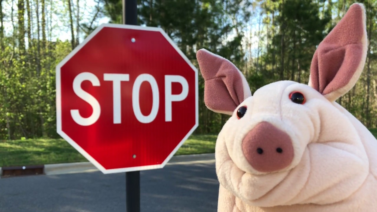 Pig and Narrator talk about a stop sign. (SDH Close Captioned) - YouTube