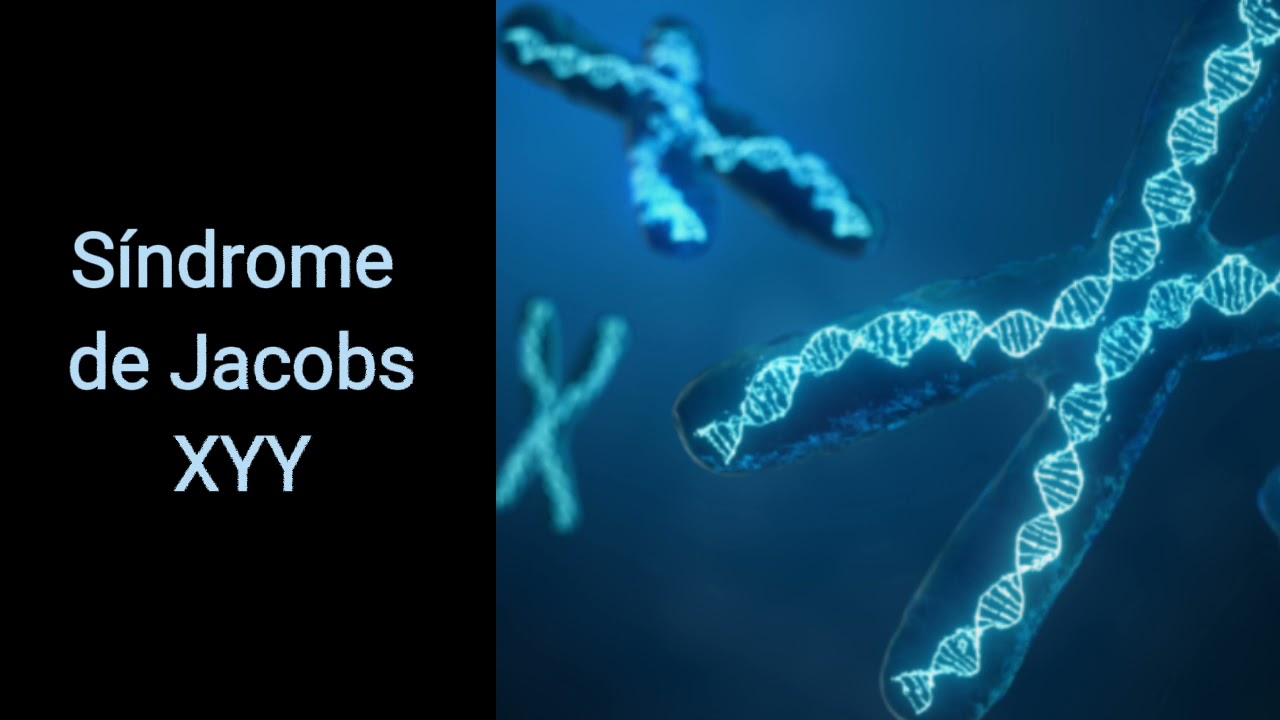 Síndrome de jacobs-Genética - YouTube