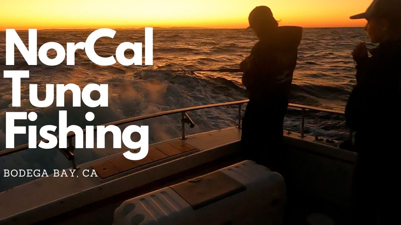 Norcal Blue Fin Tuna Fishing // Bodega Bay, CA - YouTube