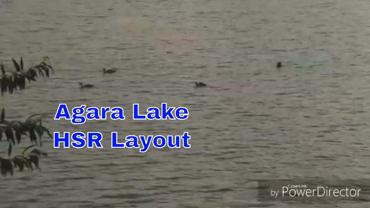 Agara Lake (Hsr Layout) - Bangalore - YouTube