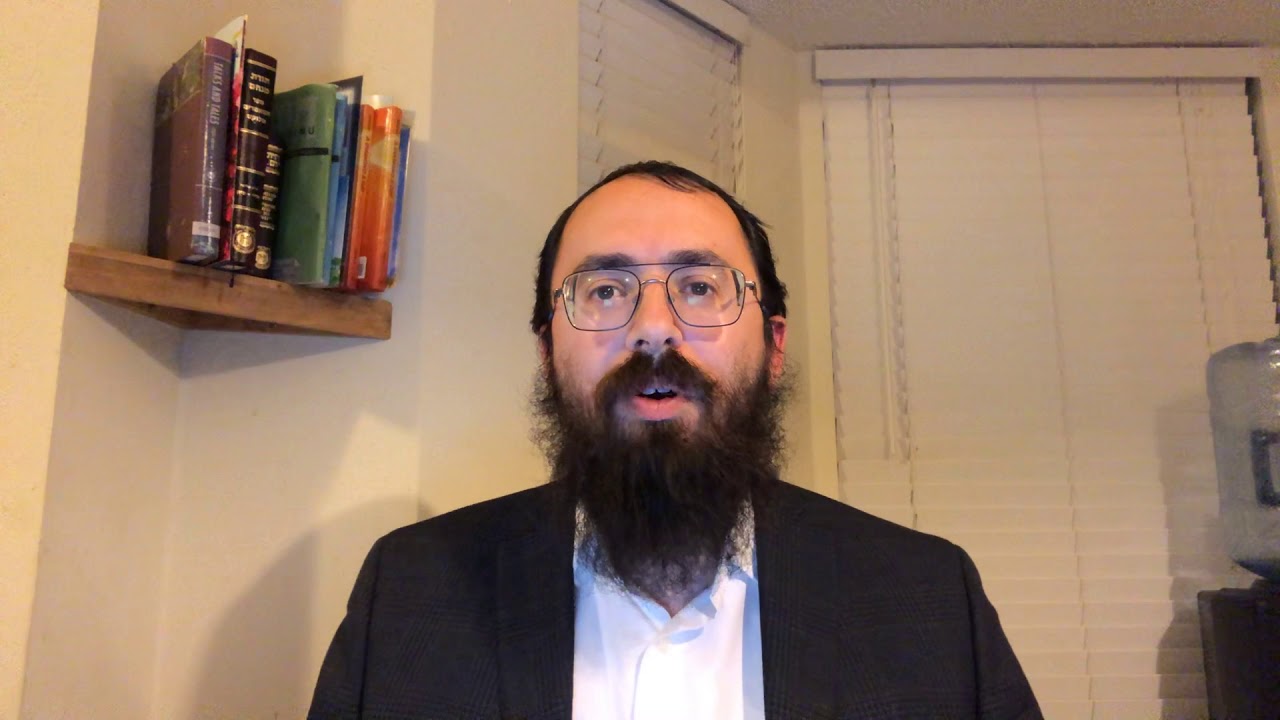 Model Seder with Rabbi Teldon - YouTube