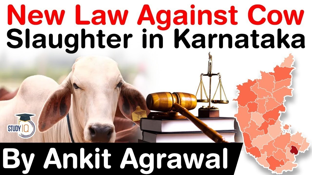 Anti Cow Slaughter bill of Karnataka - What is the definition of beef ...