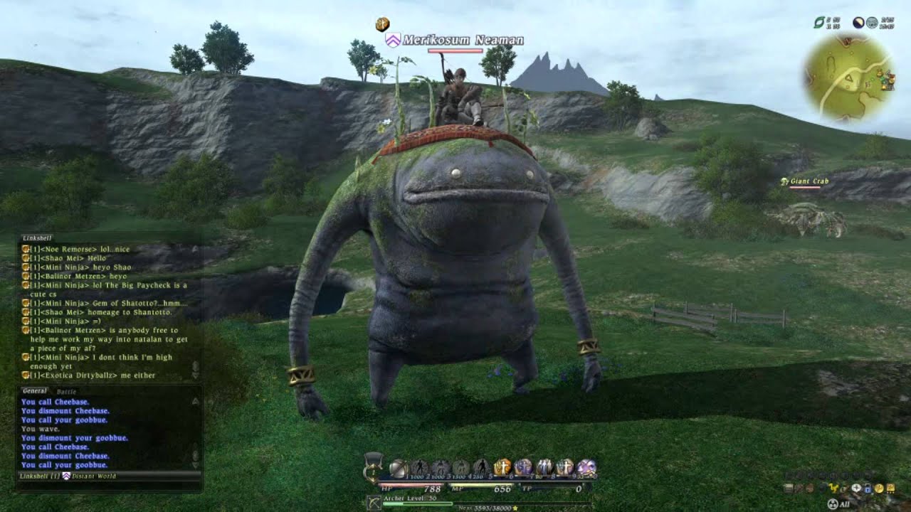 Final Fantasy 14 - Chocobo and Goobbue mounts - YouTube