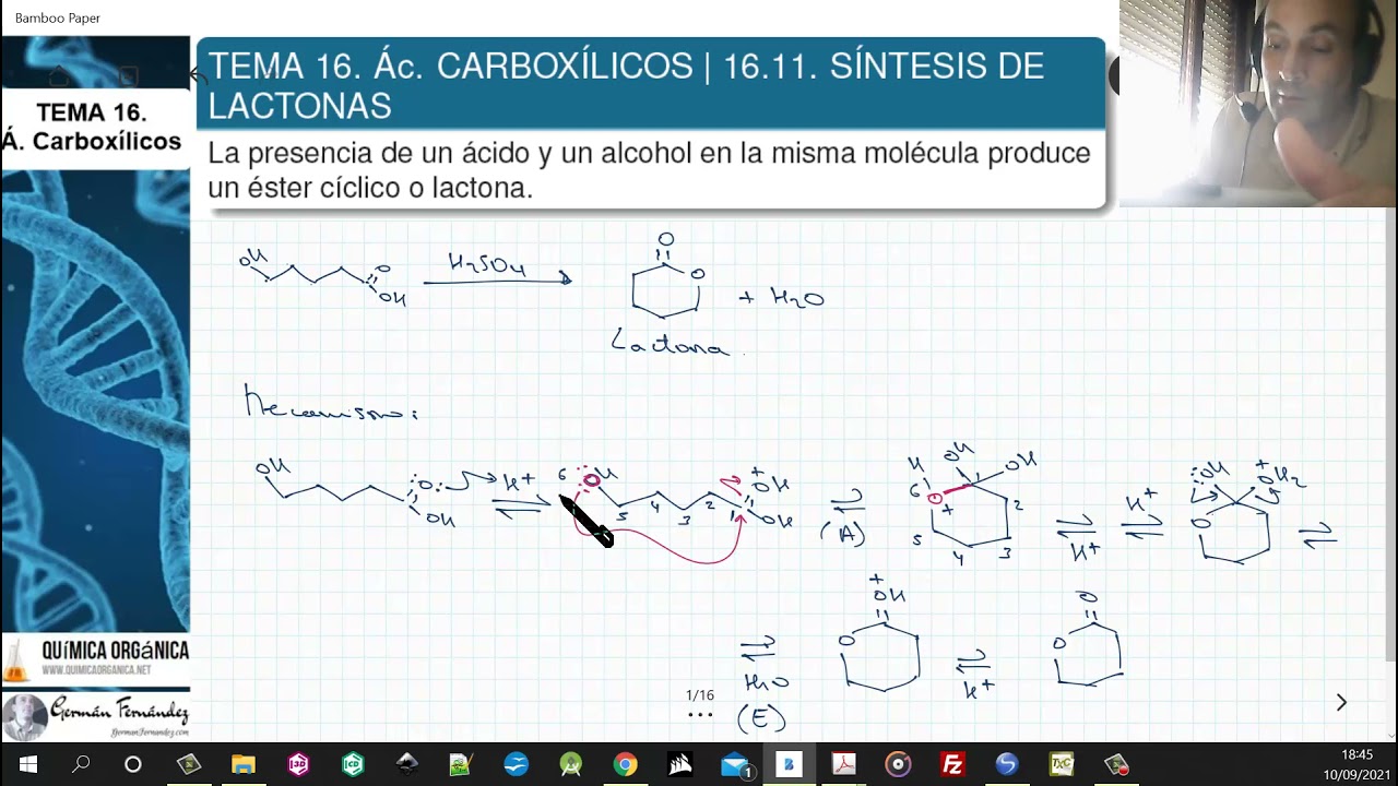 TEMA 16. ÁCIDOS CARBOXÍLICOS | 16.1. SÍNTESIS DE LACTONAS - YouTube