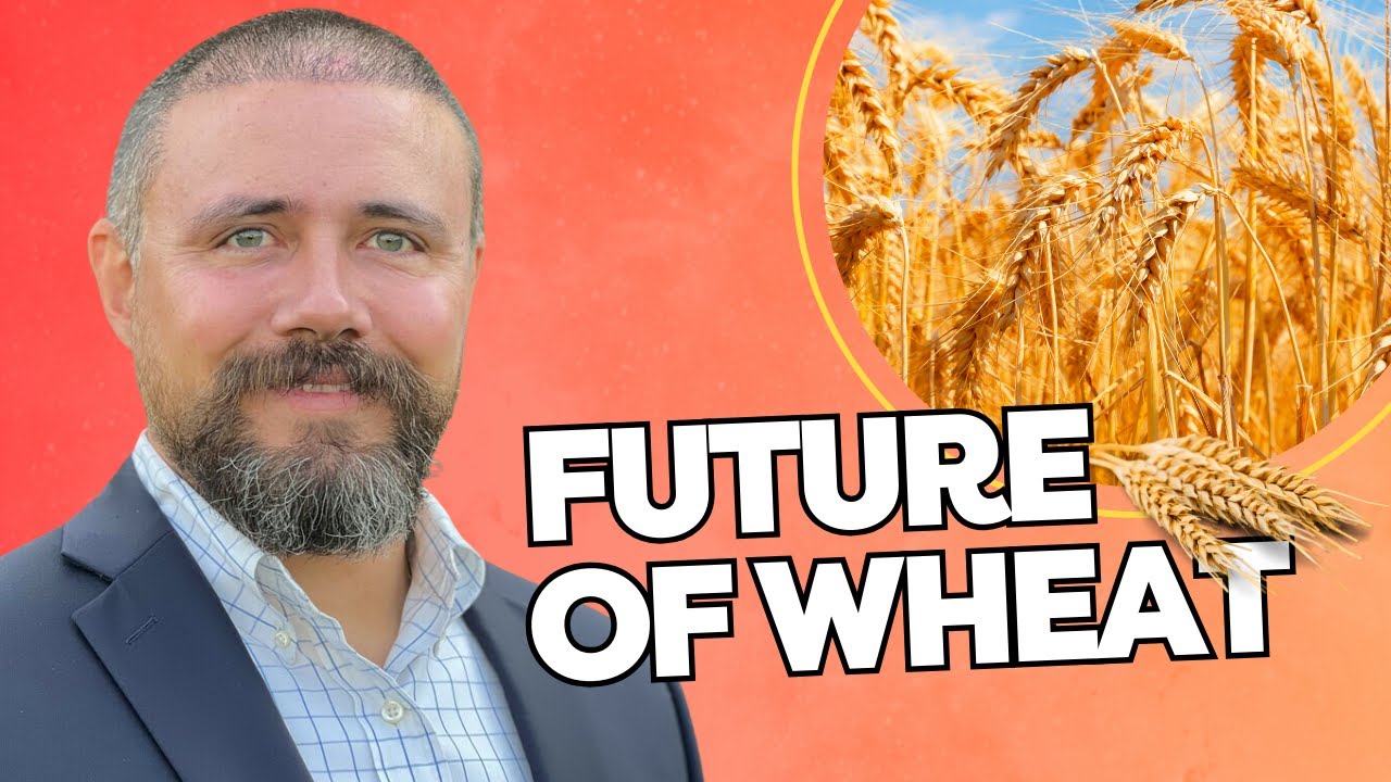 Dr. Romulo Lollato: Optimizing Wheat Yields - YouTube