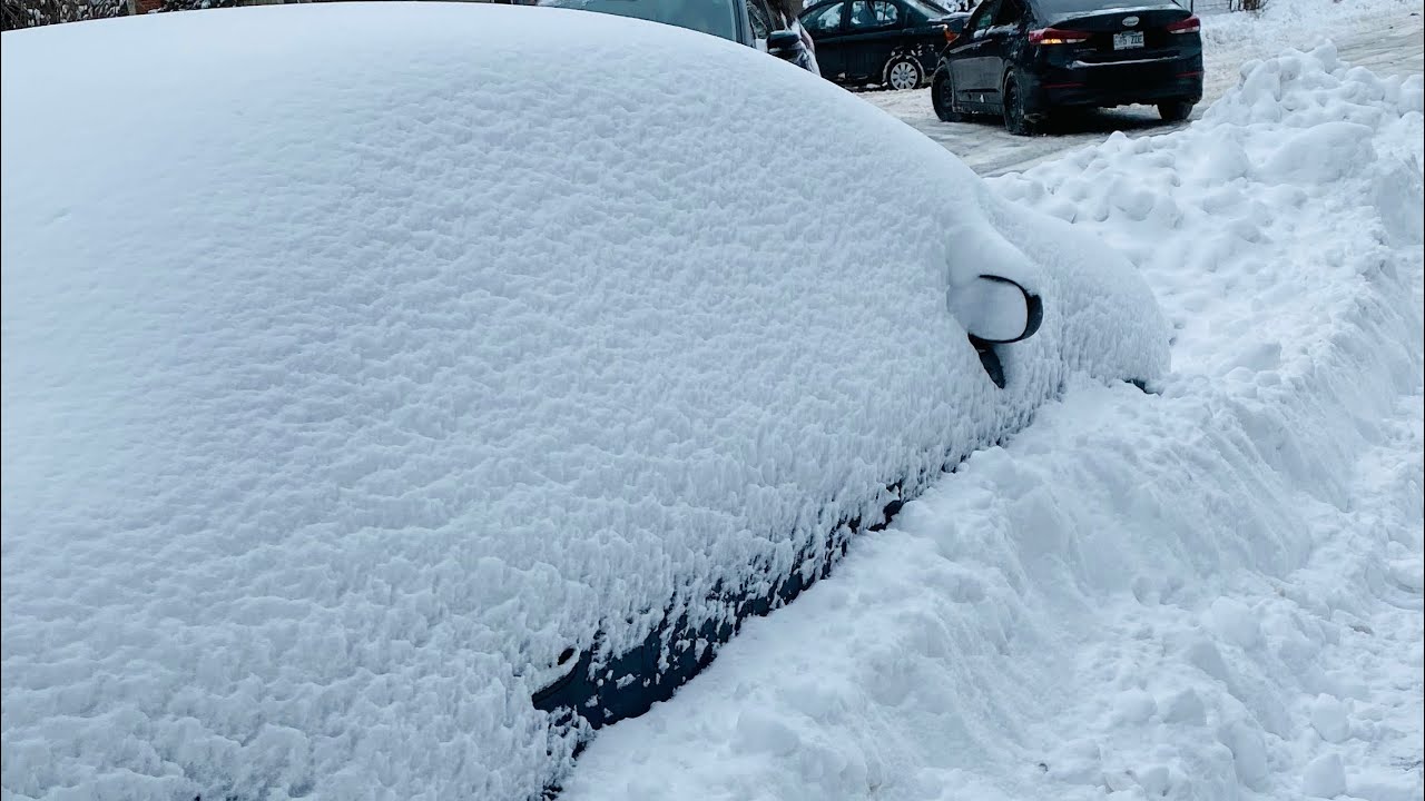 Snowstorm 2023,#shorts , #canada ,#snow ,#winter ,#snowstorm - YouTube