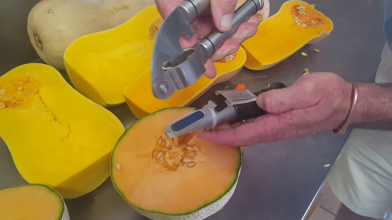 How the brix rating works - YouTube