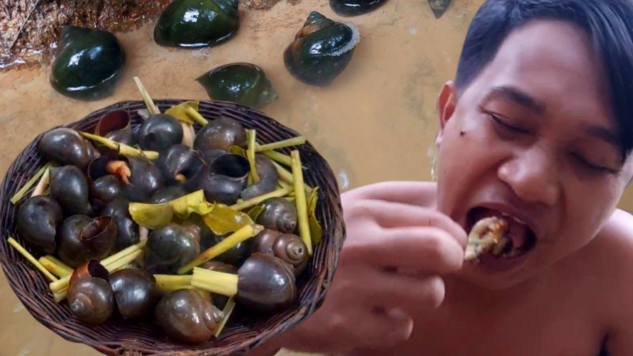 I Prepared Fresh Snails For My Delicious Dinner - YouTube