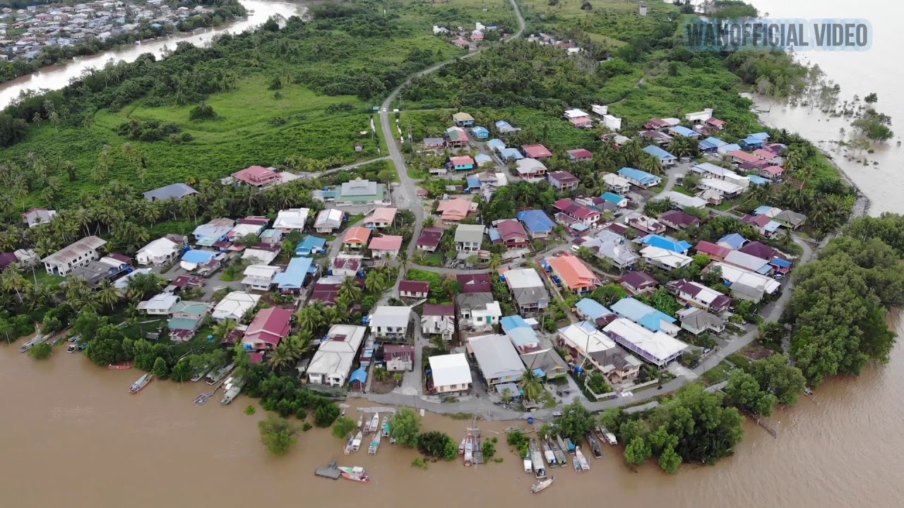 Sebuyau kampung ikan terubuk famous terbaik - YouTube