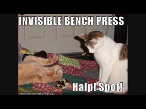 CATS: INVISIBLE stuff. - YouTube