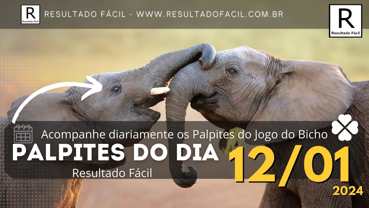 Palpite do dia 12/01/2024 Jogo do Bicho - Resultado Fácil - YouTube