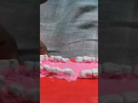How to make a clay model of teeth in 1 minute - YouTube