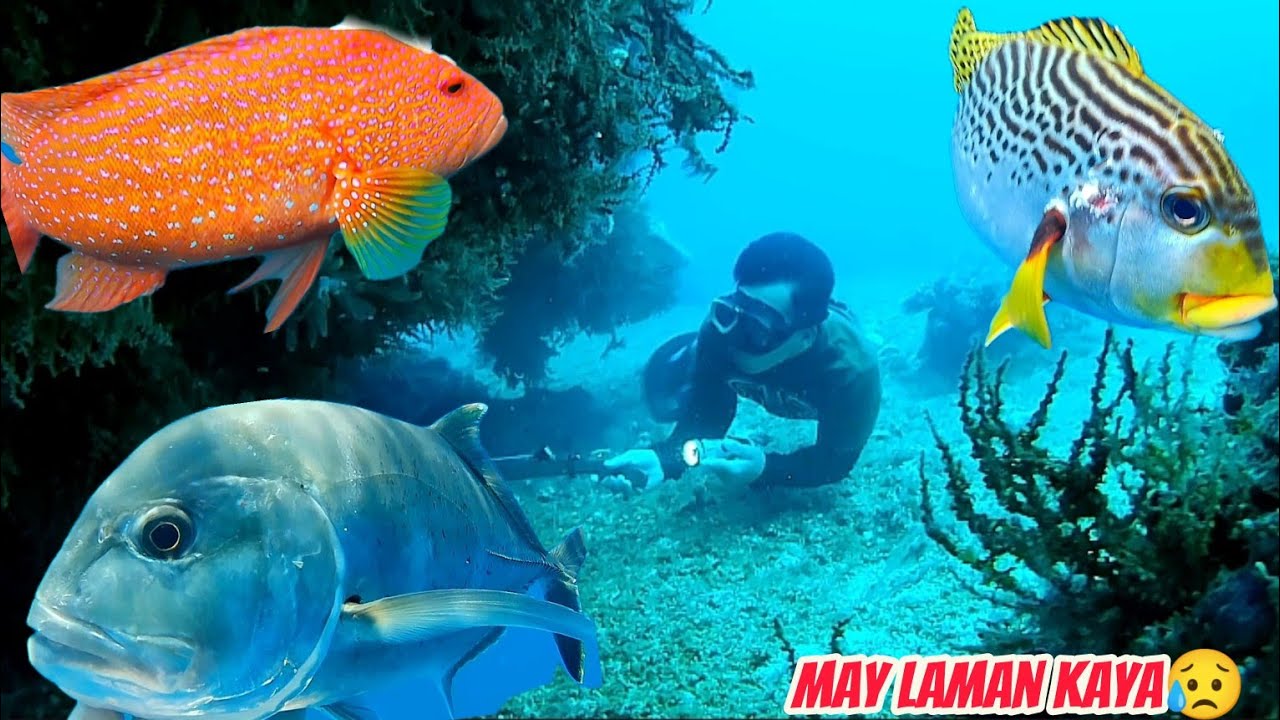 Isdang huli namin sa pagitan ng pulo at ping gan 👍 idol mata ...