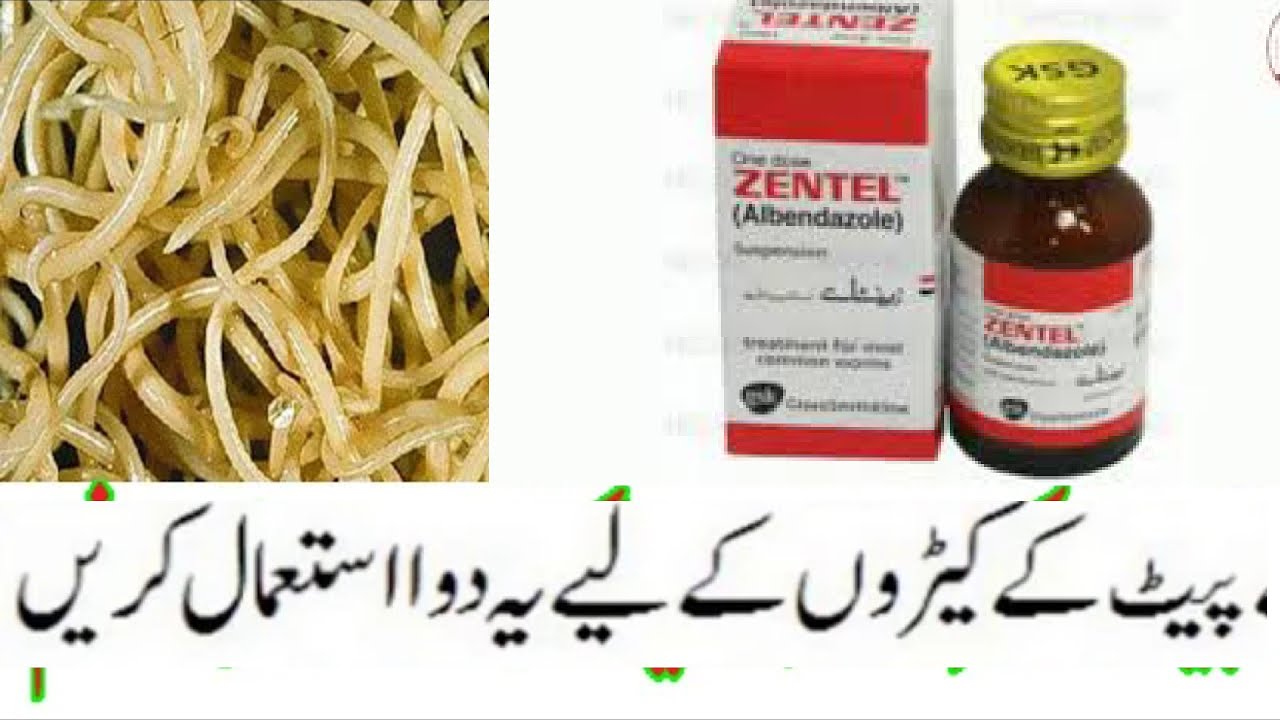 Zentel Syrup ( Albendazole ) || treatment for most common worms - YouTube