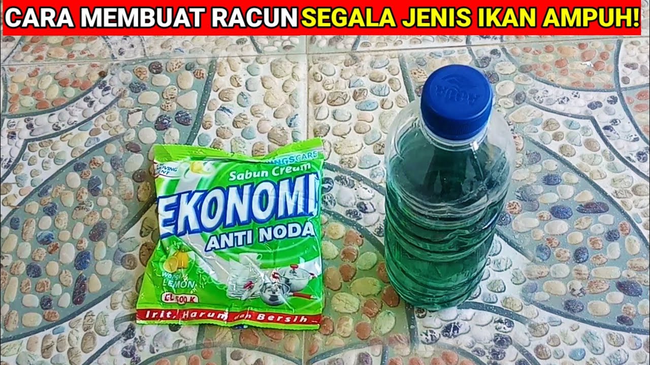 Cara membuat racun ikan ampuh - YouTube
