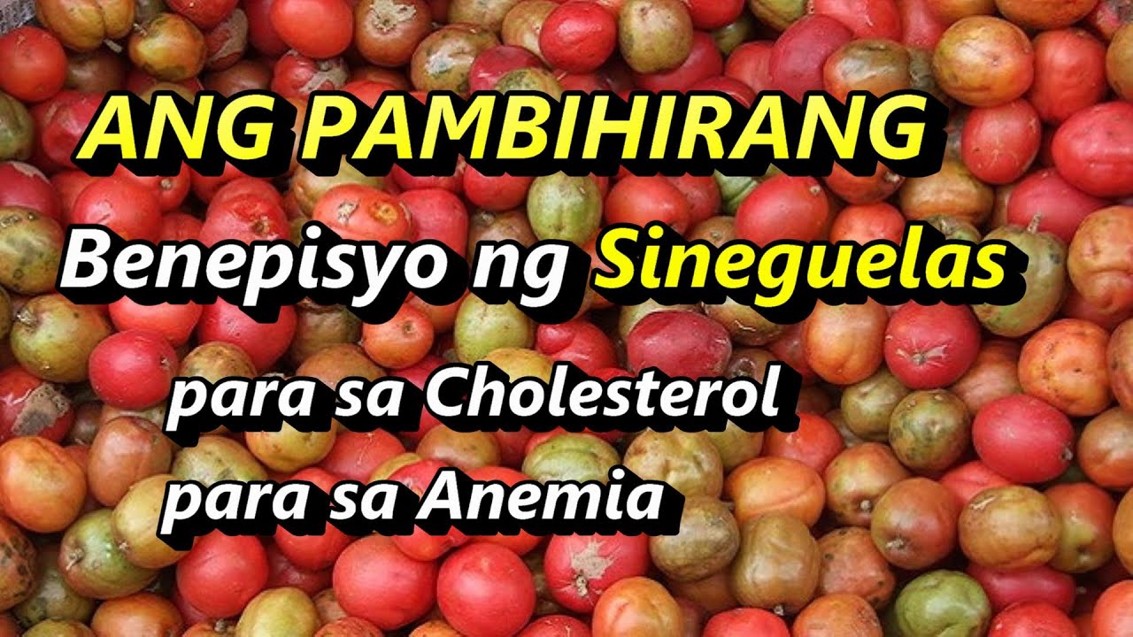 PAMBIHIRANG BENEPISYO NG SINEGUELAS (Gamot sa Cholesterol, para sa may ...