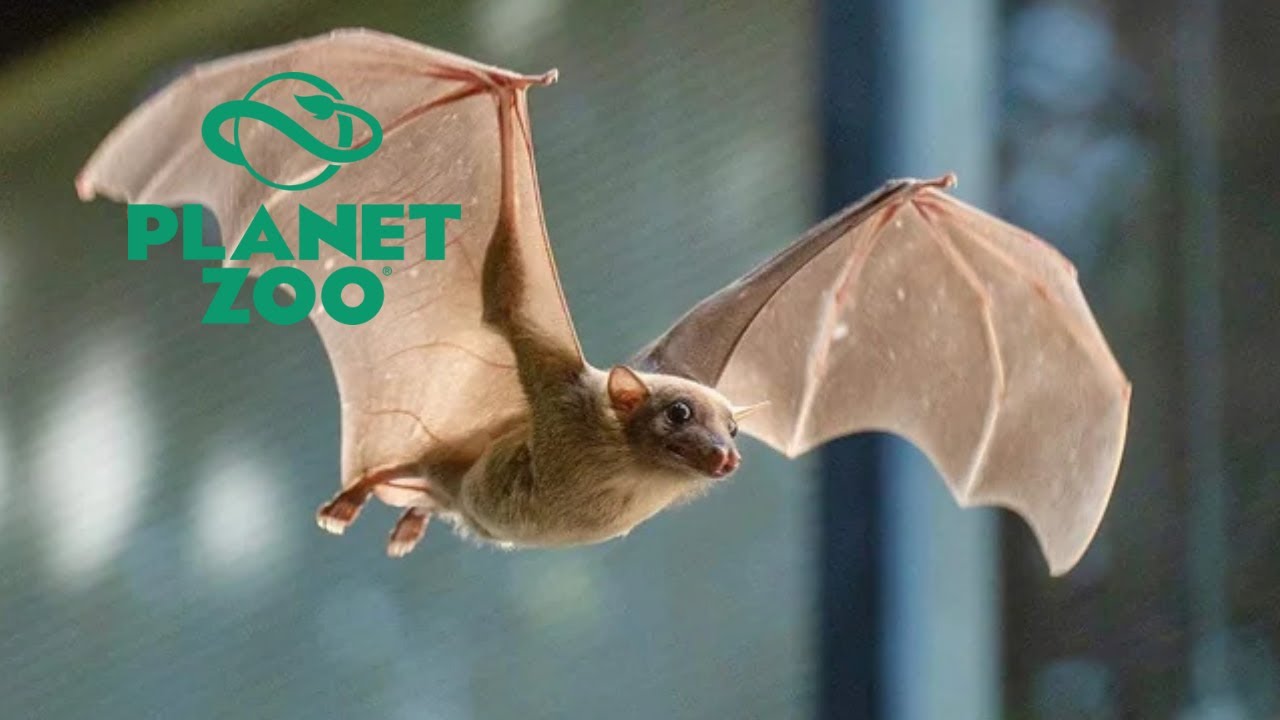Egyptian Fruit Bat Exhibit Speed build: Planet Zoo: You can request in ...