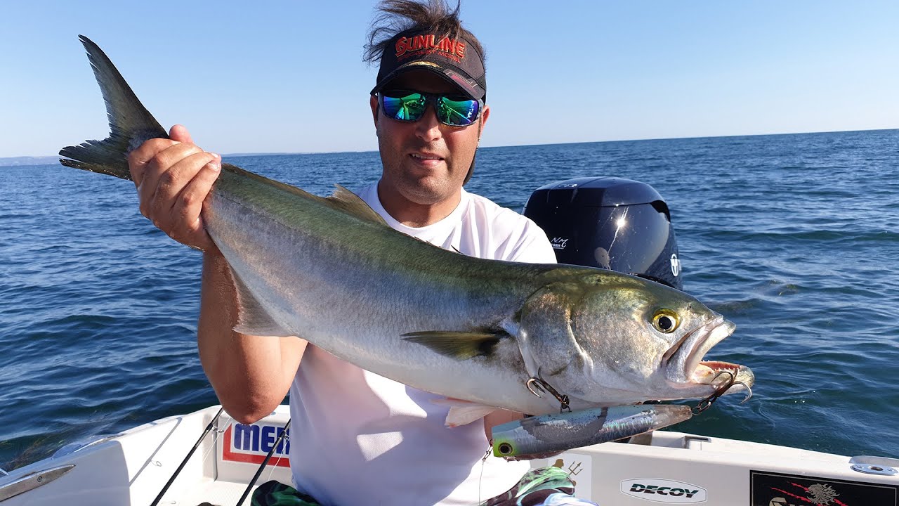 SERRA A SPINNING - Spinning al Grande Serra Popper Maria Japan Pop ...