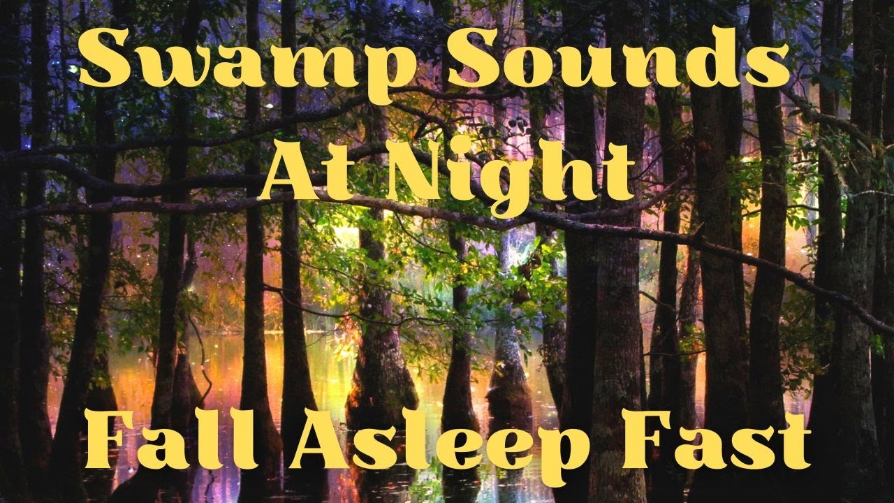 Swamp Sounds At Night - Fall Asleep Fast - YouTube
