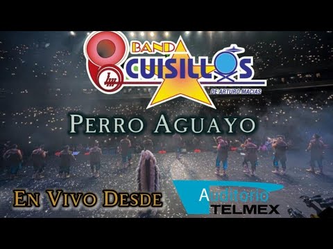 Banda Cuisillos - Perro Aguayo ( En Vivo Desde El Auditorio Telmex ...