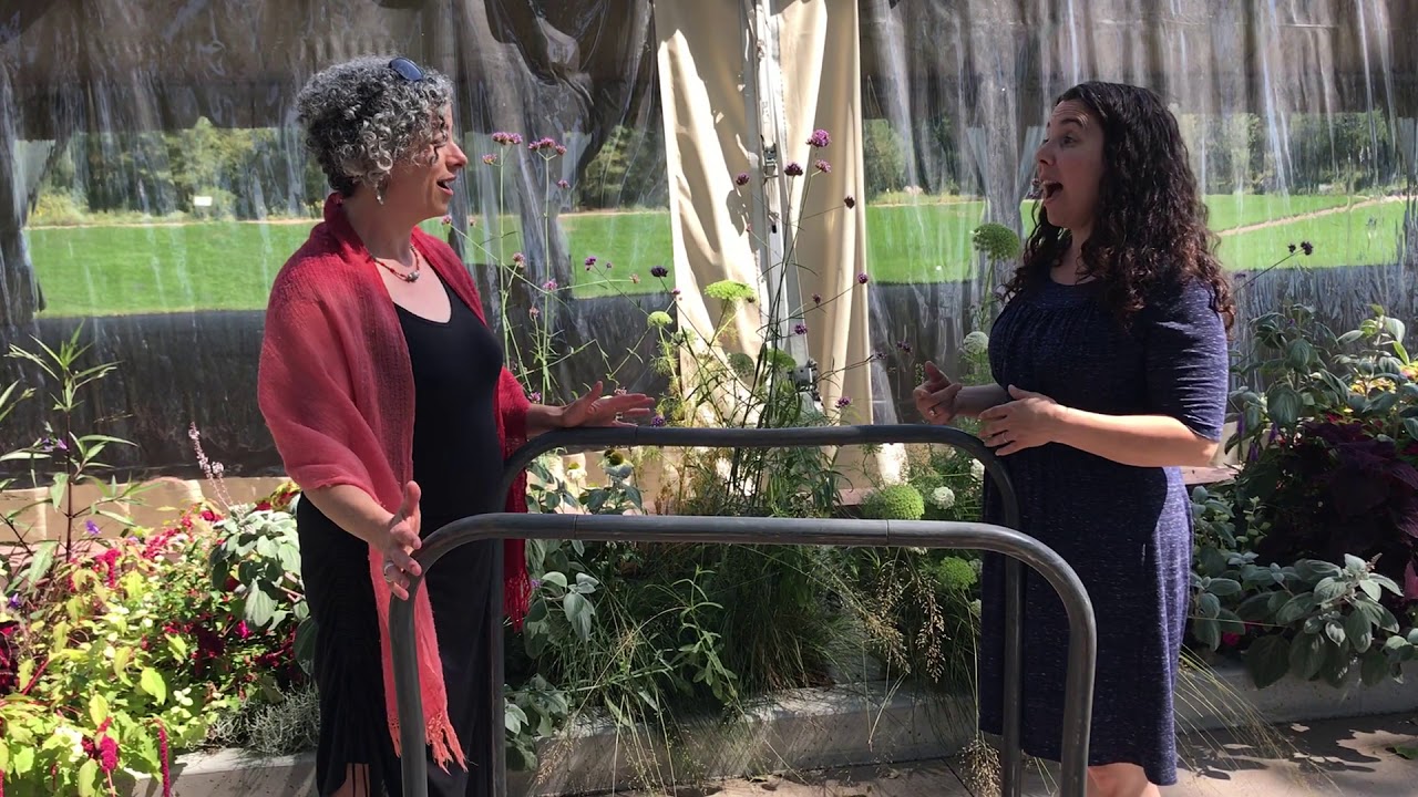 Judaism Your Way: Dr. Caryn Aviv and Rabbi Amanda Schwartz - YouTube