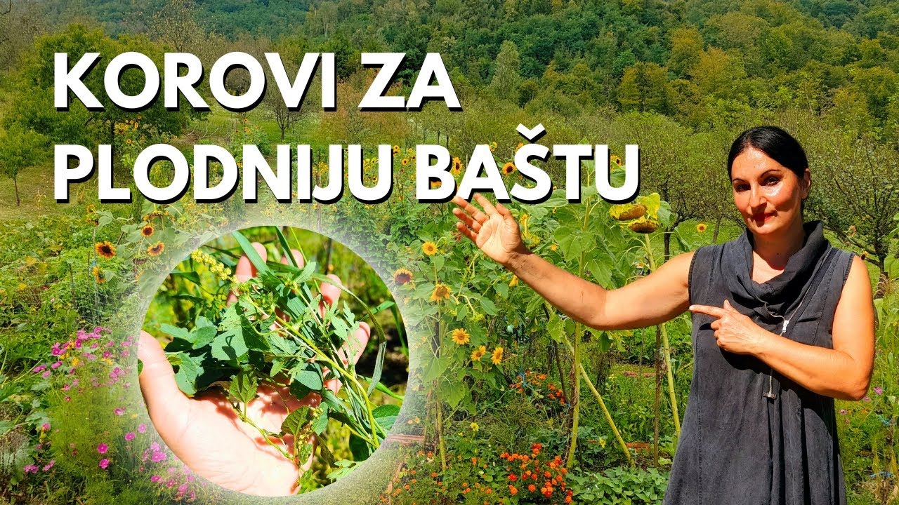 3 KOROVA koja Nikako Ne Smete da Uništavate - YouTube
