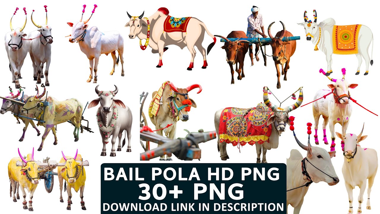 bail pola png download | bail pola banner editing | pola banner editing ...