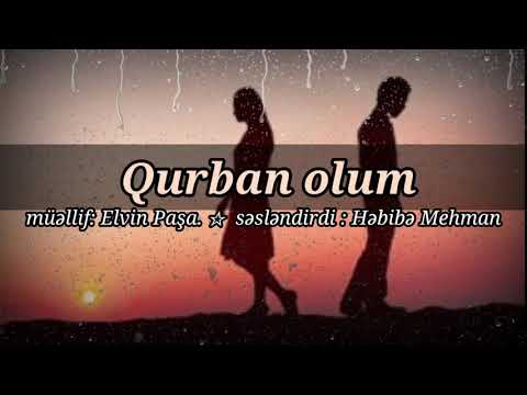 Elvin Paşa- Qurban olum