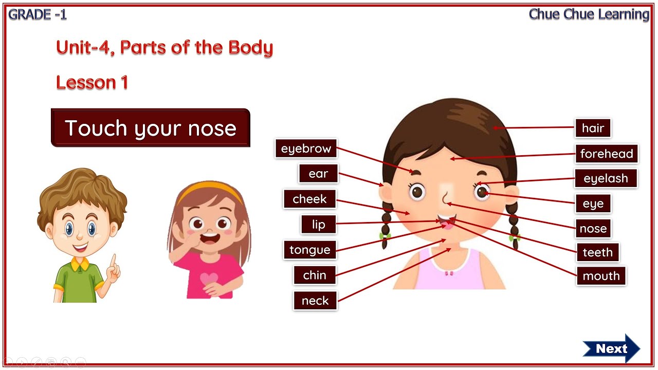 Grade 1 English Unit 4 Lesson 1 |Parts of the Body |ပထမတန္း အဂၤလိပ္စာ ...