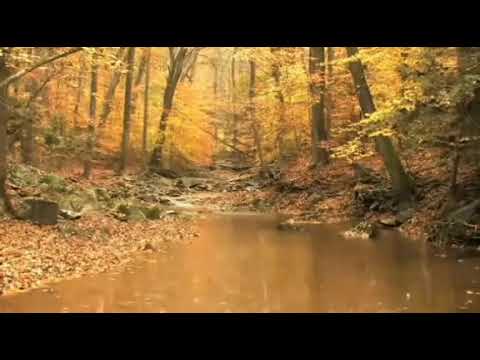 Həzın musiqi.Gedərkən get ..