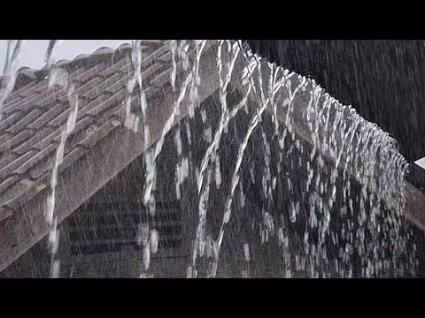 Şiddetli yağmur terapisi ve derin uyku müziği | zihin ve ruhsal bozuklukları iyileştirin | Yağmur