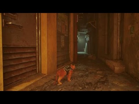 Stray Gameplay - YouTube