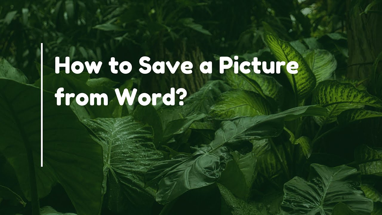 How to Save a Picture from Word? - YouTube