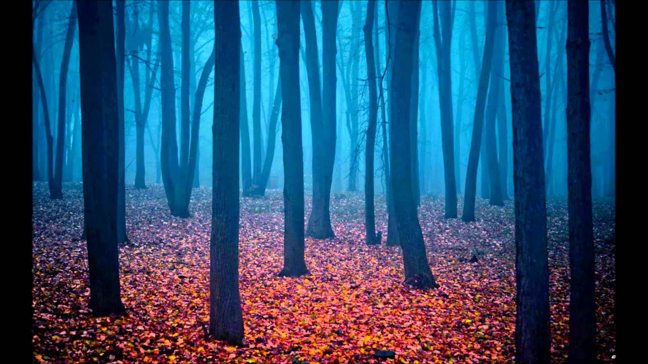 Falling into Darkness (part1) - YouTube