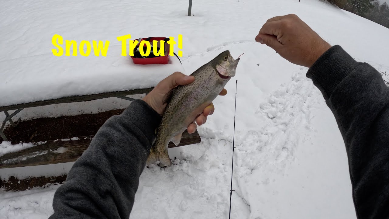 Snow Trout! - YouTube