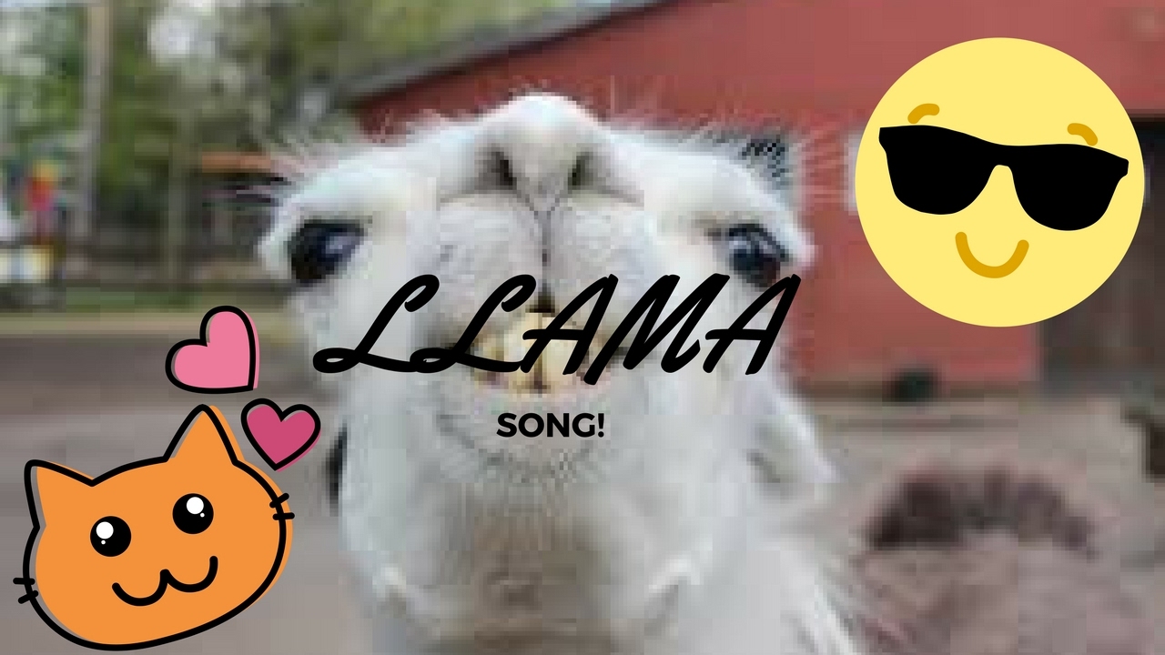 LLAMA SONG!! :)))) - YouTube