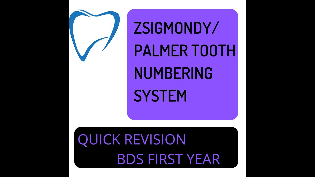 ZSIGMONDY PALMER TOOTH NUMBERING SYSTEM I DENTAL ANATOMY I BDS FIRST YEAR I QUICK REVISION zsigmondy-palmer-tooth-numbering-system-i-dental-anatomy-i-bds-first-year-i-quick-revision