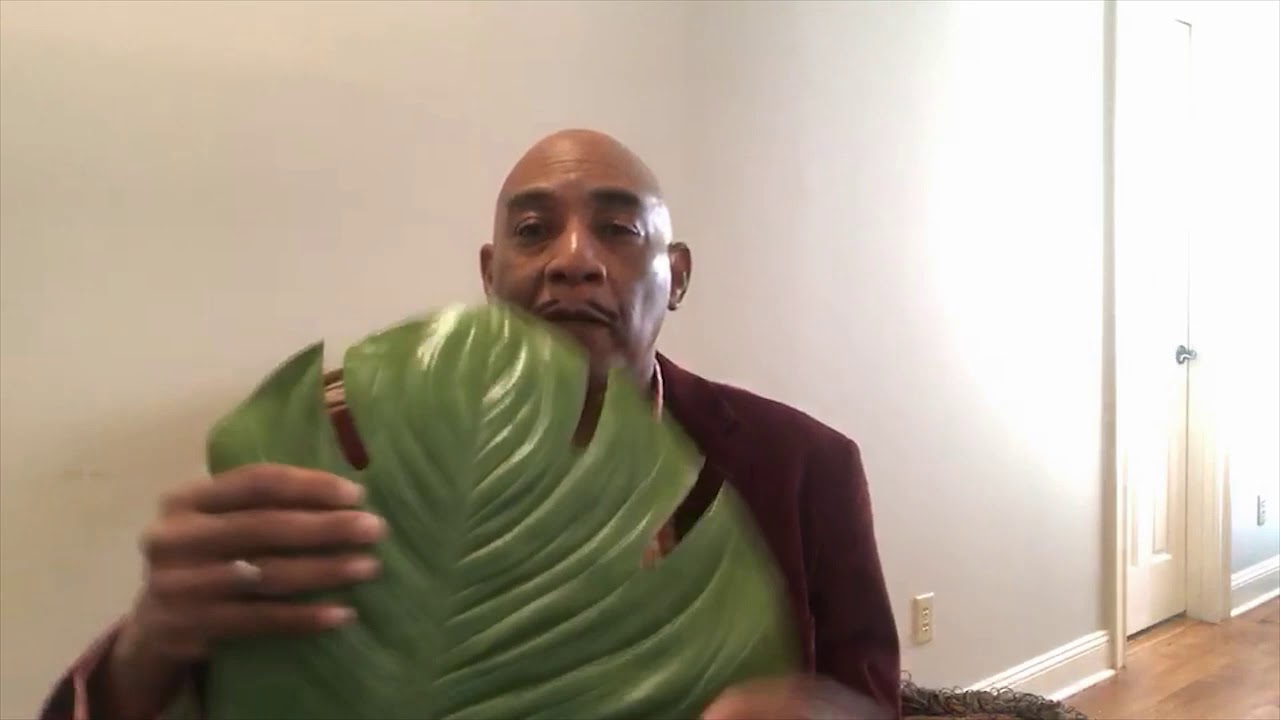 Rev. Dr. Embra Jackson's Friday Devotional March 27,2020 - YouTube