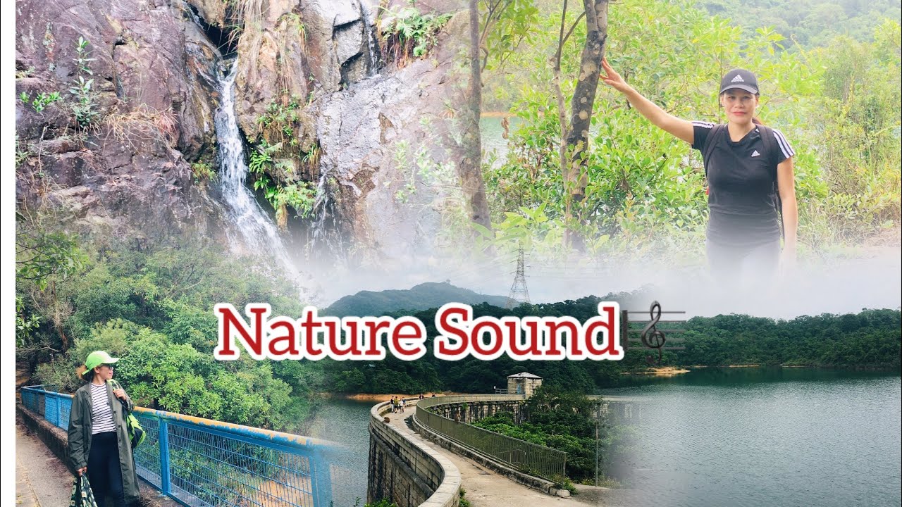 Pure Nature Sound 🎼♥️ - YouTube