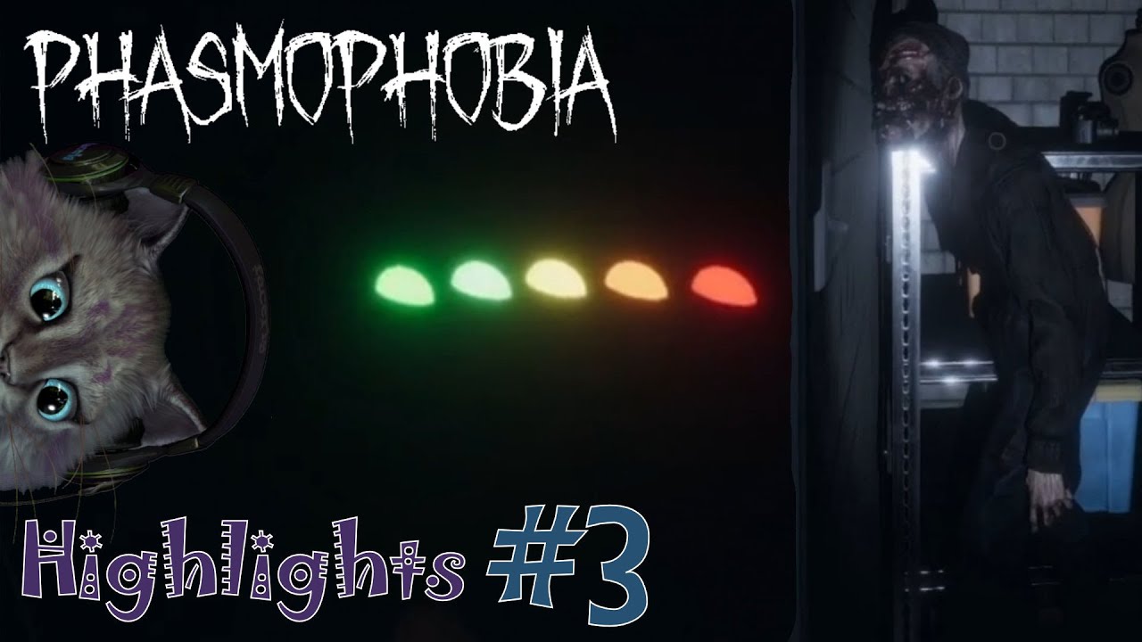 Phasmophobia Highlights #3-Cat has dirty drawers, and I'm not talkin ...