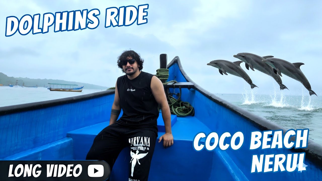 Dolphin Point Goa | Dolphins Trip in Goa near Calangute | 300/- Rs ...