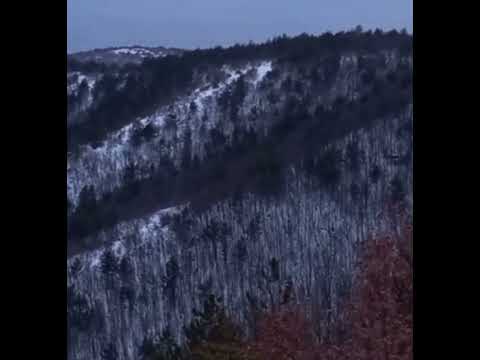 Kastamonu Devrekani Domuz Avı