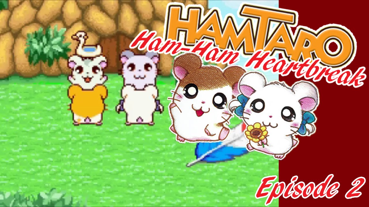 Hamtaro: Ham-Ham Heartbreak - Episode 2 "Potty Training" - YouTube