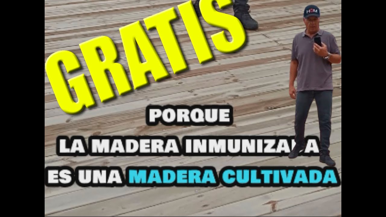 Deck de madera inmunizada con asesoria gratis para tus pisosy ...