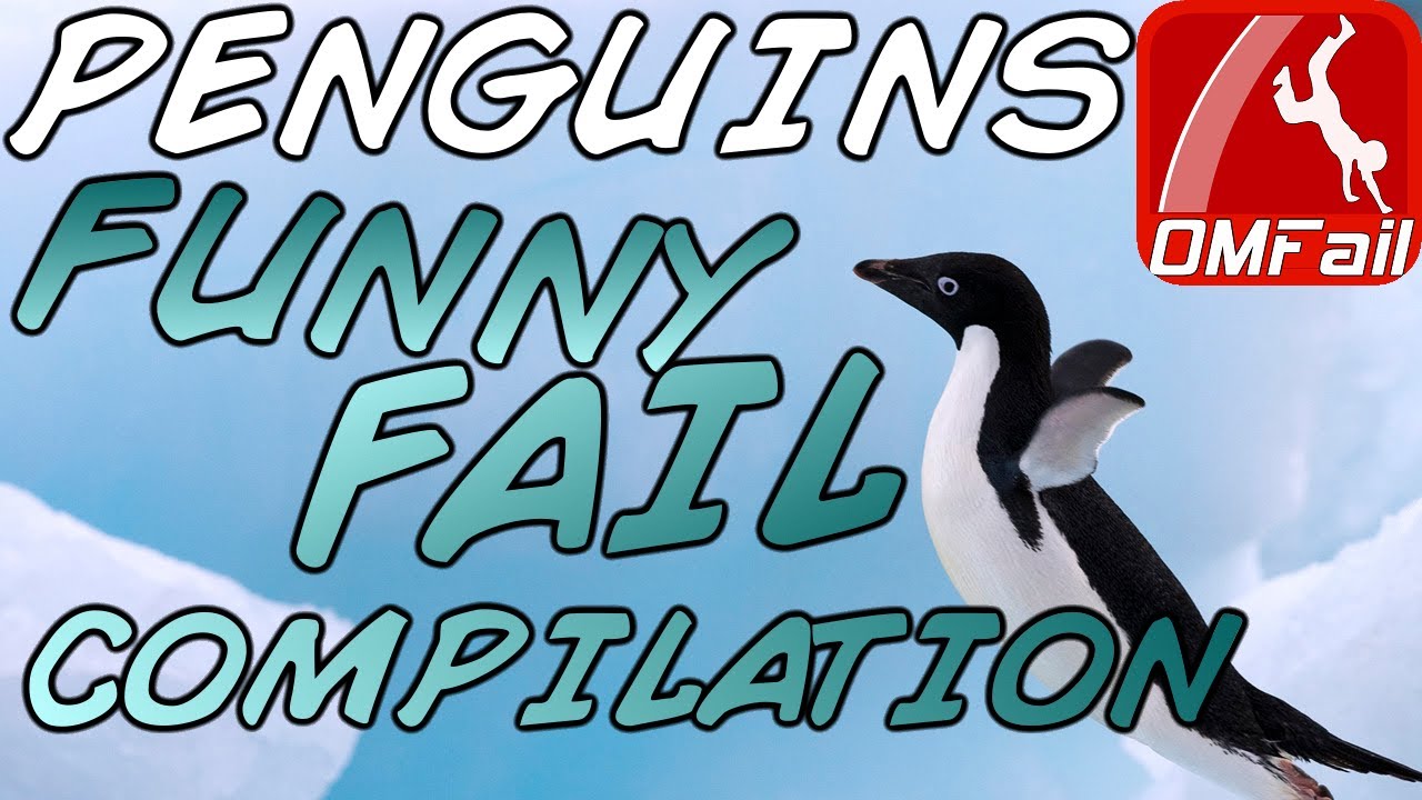 PENGUINS BEST FUNNY FAILS COMPILATION | Fails de pingüinos - YouTube