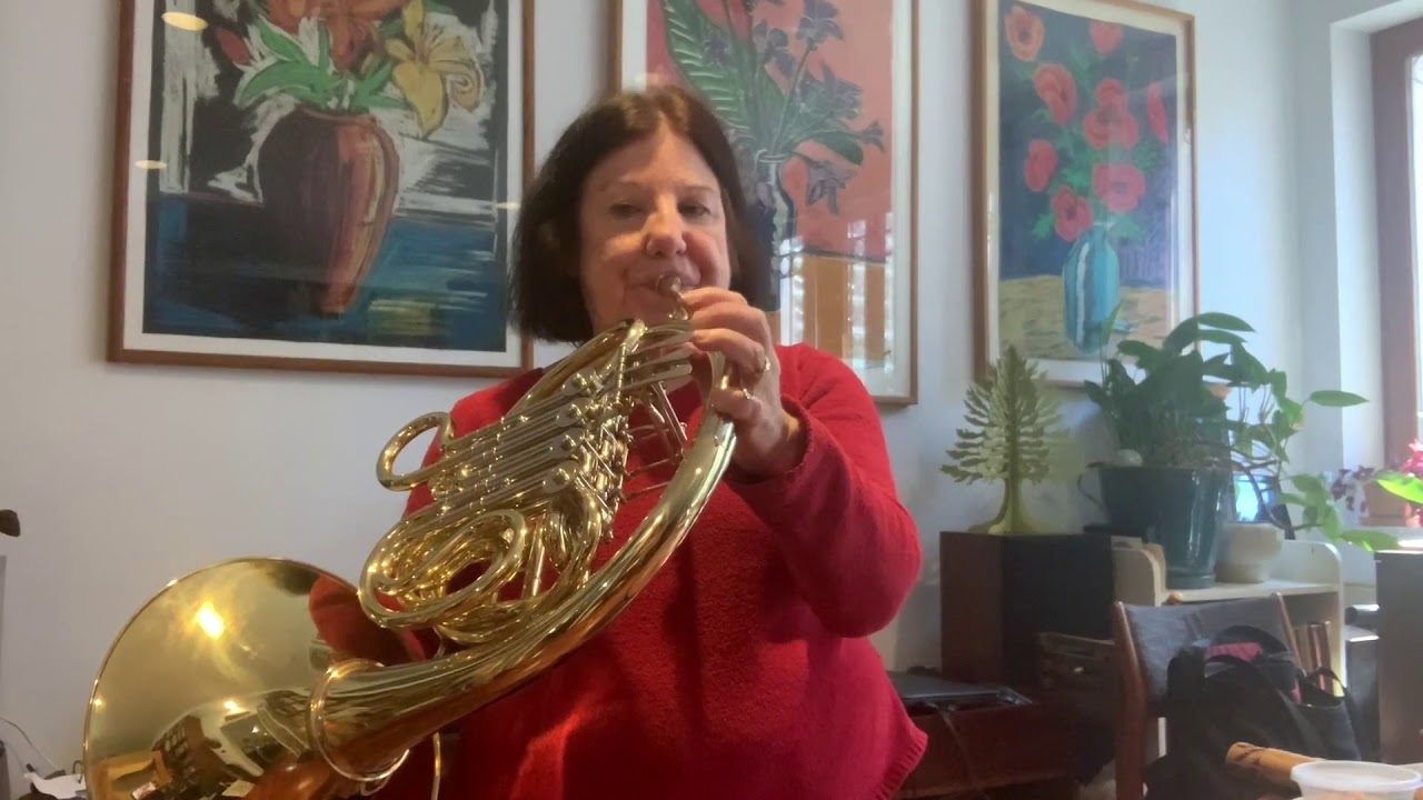 Introduction to the woodwind quintet (Horn) by Quintet of the Americas ...