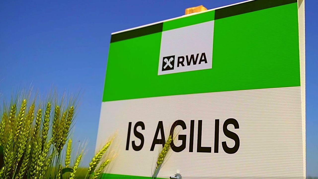 Un soi de grâu agil, cu indici de panificație foarte buni. Agilis de la ...