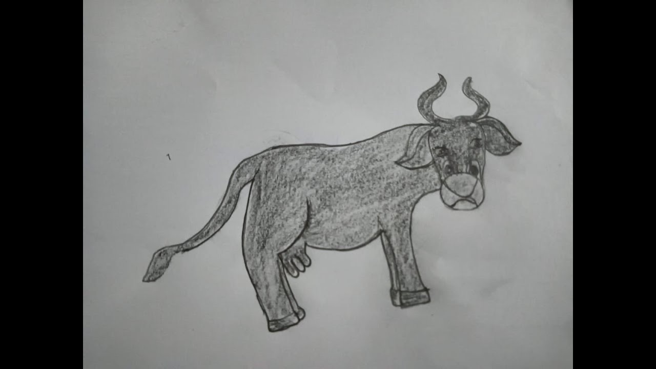 How to Draw Buffalo Step by Step for Beginners || Buffalo Drawing ...