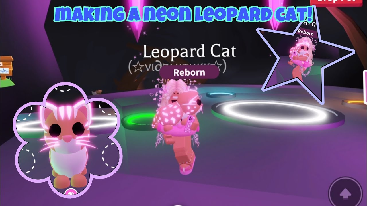 Making a neon leopard cat! Roblox Adopt Me! - YouTube
